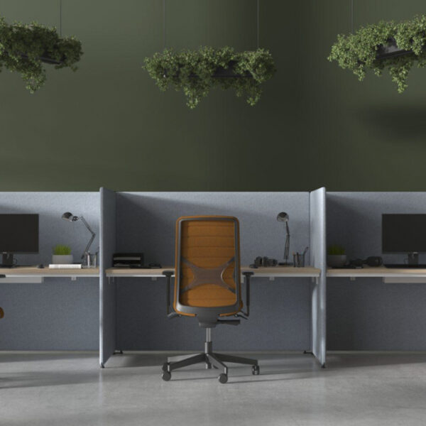 Mobile Acoustic - Vision Interiors