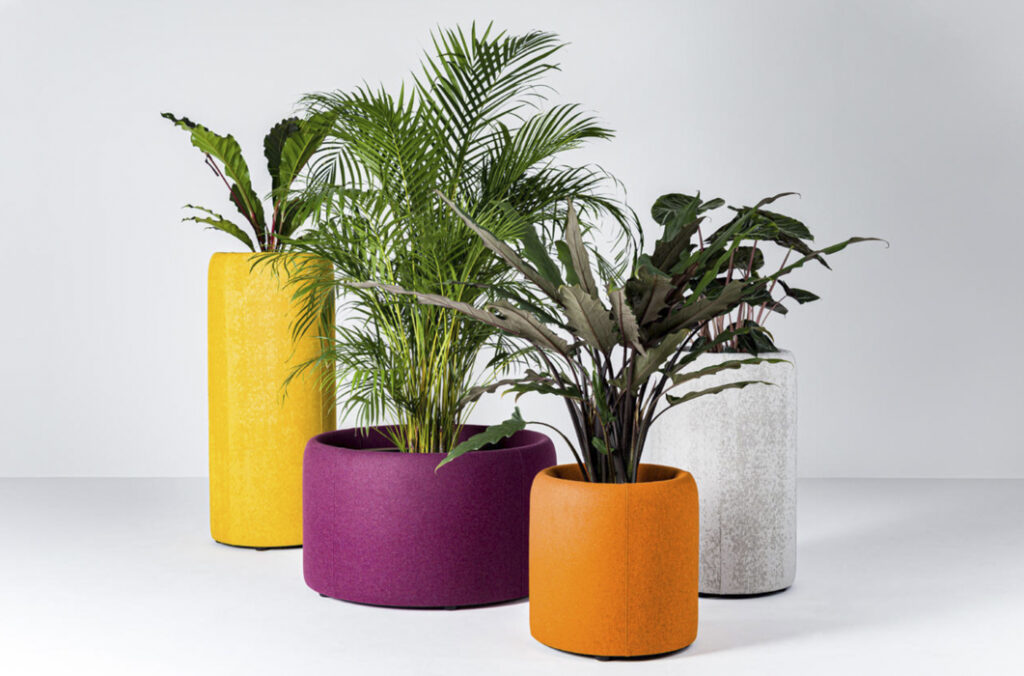 BuzziPlanters Acoustic Solution | Vision Interiors